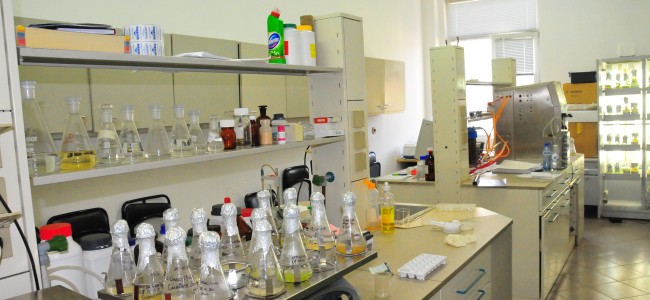 ΦΑΡΜΑΚΕΥΤΙΚΗ ΣΤΟ ΠΑΝΕΠΙΣΤΗΜΙΟ ΤΗΣ ΣΟΦΙΑΣ | ιατρικηστηβουλγαρια.gr